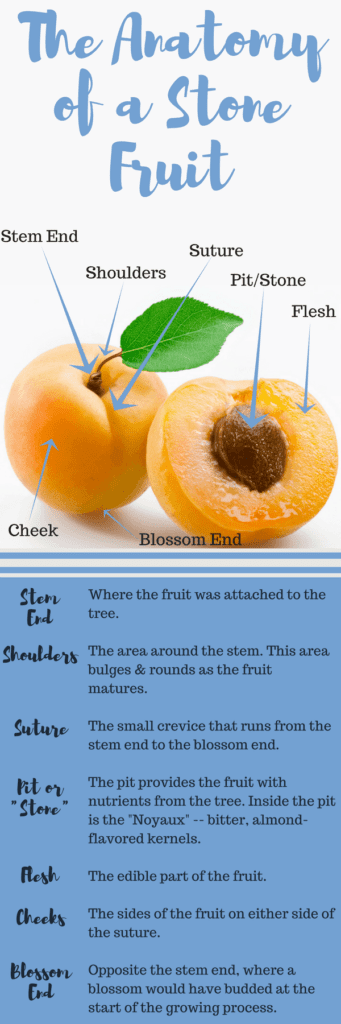 The Anatomy Of A Stone Fruit - The Produce Moms