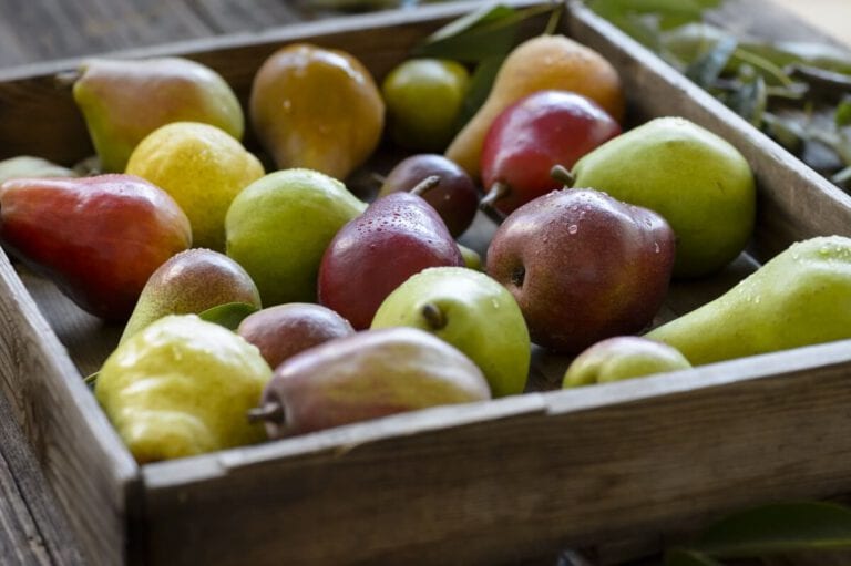 How to Pick Pears at the Grocery Store - The Produce Moms