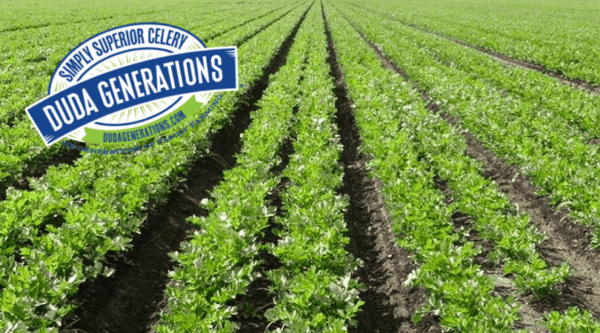 Duda Farm Fresh Foods: Building a Legacy - The Produce Moms