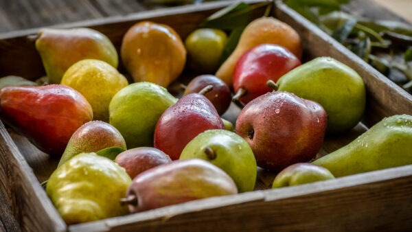 All About Pacific Northwest Pears: Taste, Nutrition, Recipes
