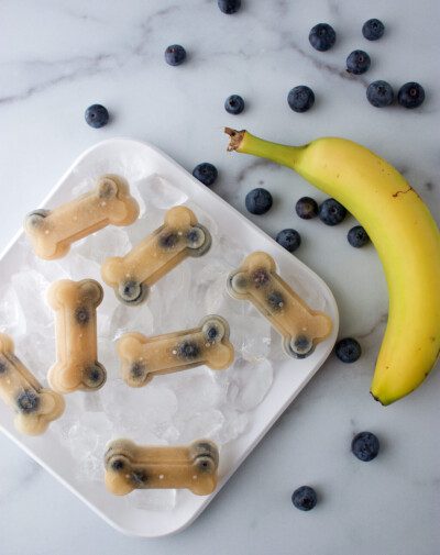 Banana and Blueberry Pupsicles | Frozen Dog Treats - The Produce Moms