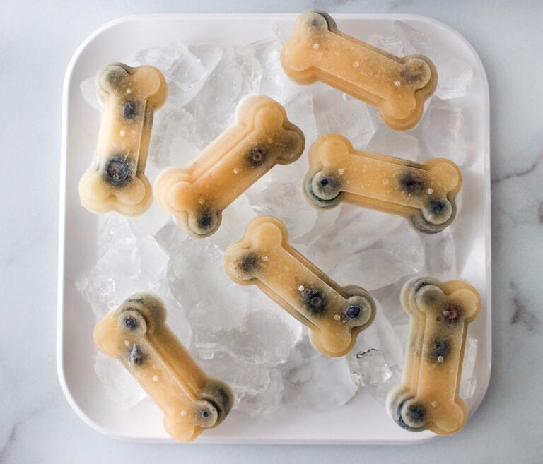 Banana and Blueberry Pupsicles | Frozen Dog Treats - The Produce Moms