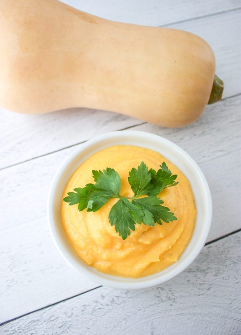Brighter Bites for Brighter Health + Butternut Squash Dip Recipe