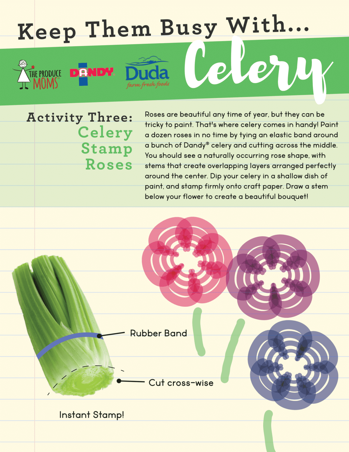 Educational Celery Activities | Celery Activity Sheets