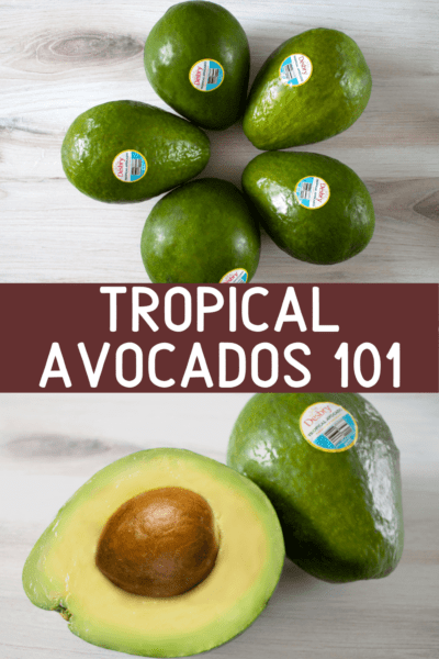 Tropical Avocados 101: How to Select, Store, Serve - The Produce Moms