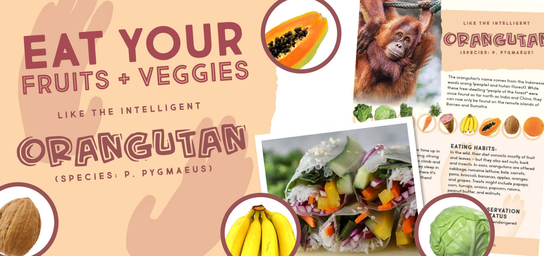 Eat Like An Orangutan: Salad Roll & Fruit Salad Buffet