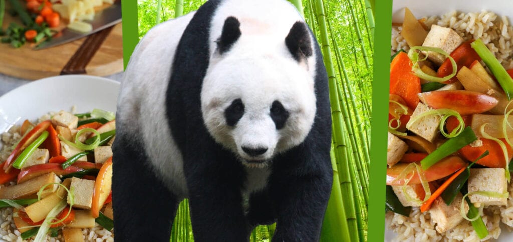 Eat Like a Giant Panda: Apple and Bamboo Stir Fry - The Produce Moms