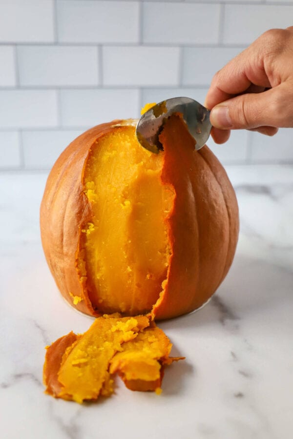 Instant Pot Pumpkin Puree - The Produce Moms