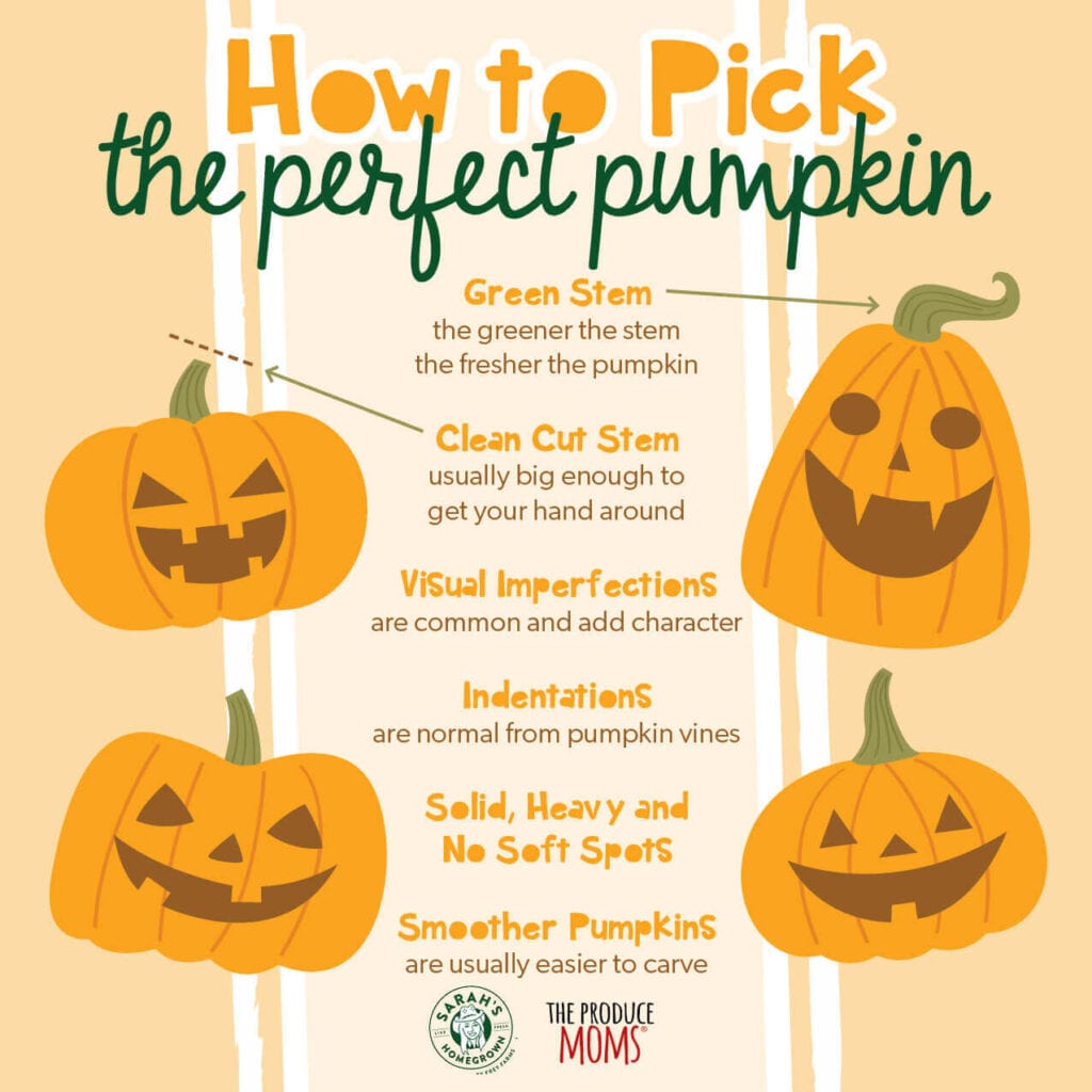 How To Pick a Pumpkin - The Produce Moms