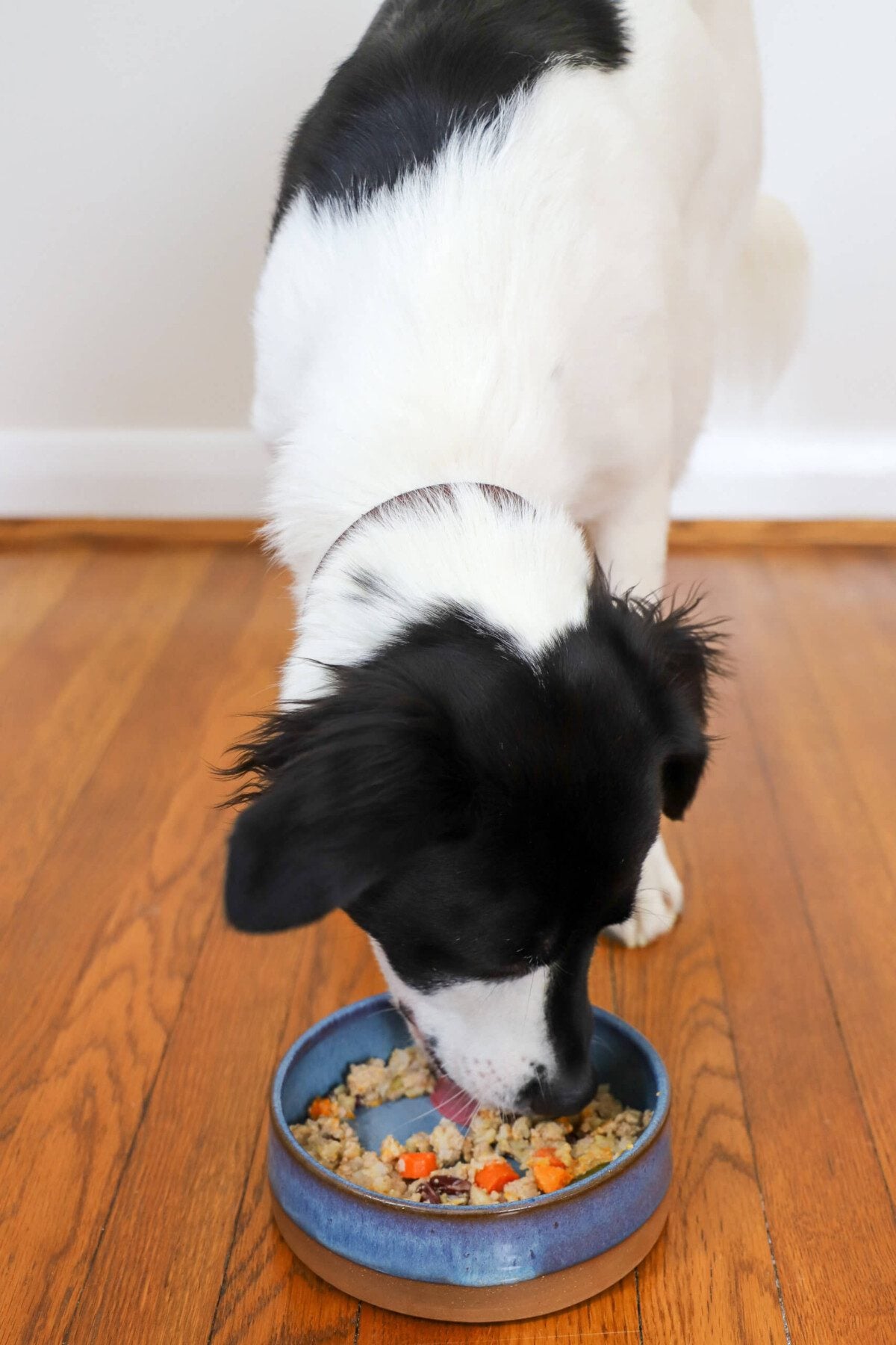 Easy Slow Cooker Dog Food with Ground Turkey and Veggies