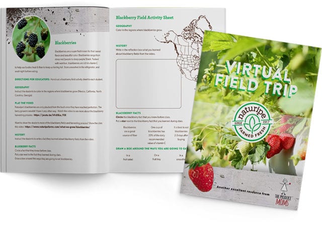 Virtual Field Trip with Naturipe® Farms - The Produce Moms