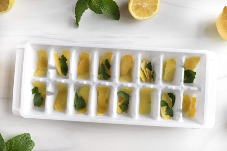 Lemon Ice Cubes With Mint - The Produce Moms