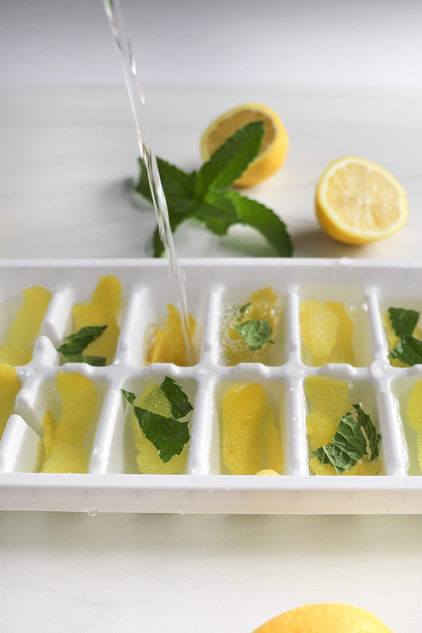 Lemon Ice Cubes With Mint - The Produce Moms