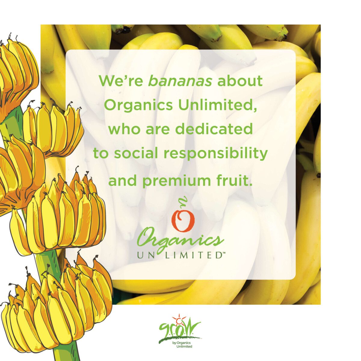 Behind the Bananas: Growing Communities with Organics Unlimited