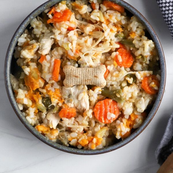 Chicken and Sweet Potato Instant Pot Dog Food - The Produce Moms