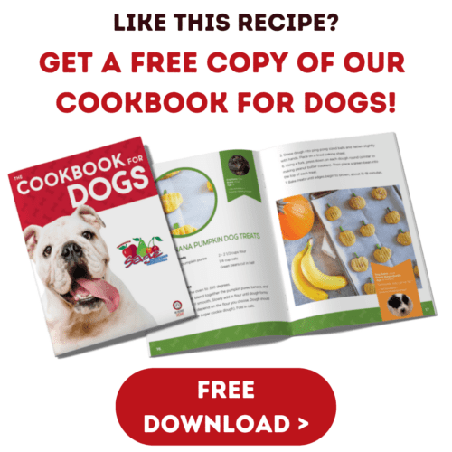 Easy Slow Cooker Dog Food with Ground Turkey and Veggies