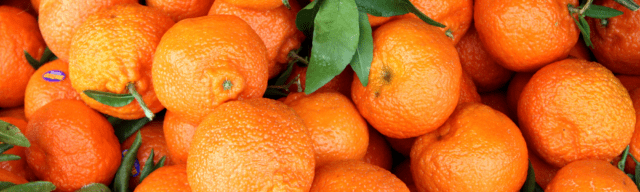 A Guide To Mandarins: Types of Mandarin Oranges and Their Benefits ...