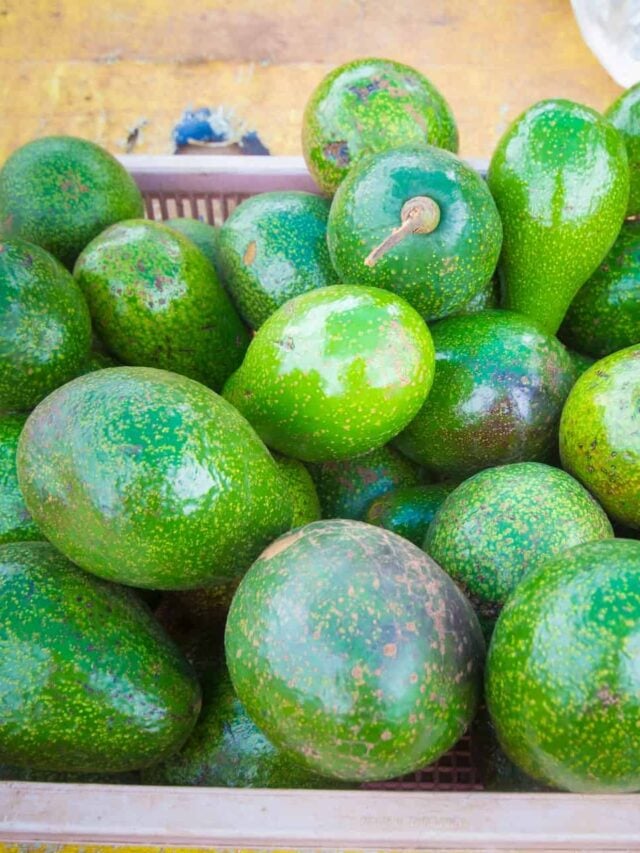 How to Pick the Perfect Ripe Avocado - The Produce Moms