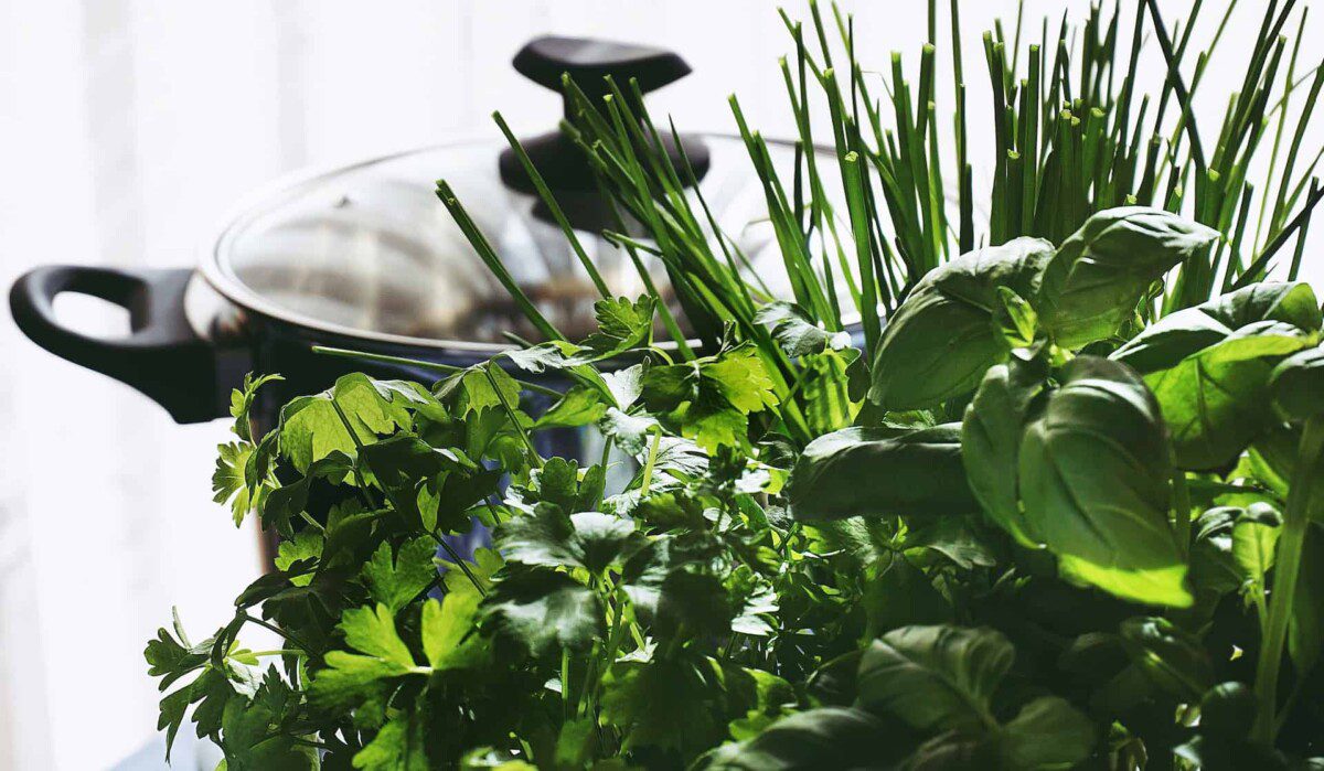 How to Start an Herb Garden for Beginners - The Produce Moms