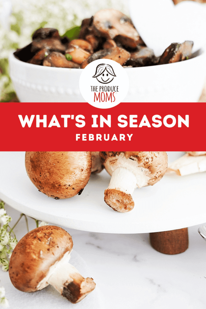 What's in Season February: Fruits & Vegetables - The Produce Moms