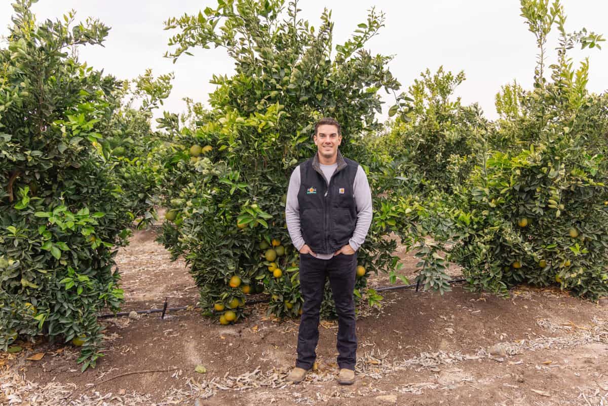 Meet the Grower: Pro Citrus Network - The Produce Moms