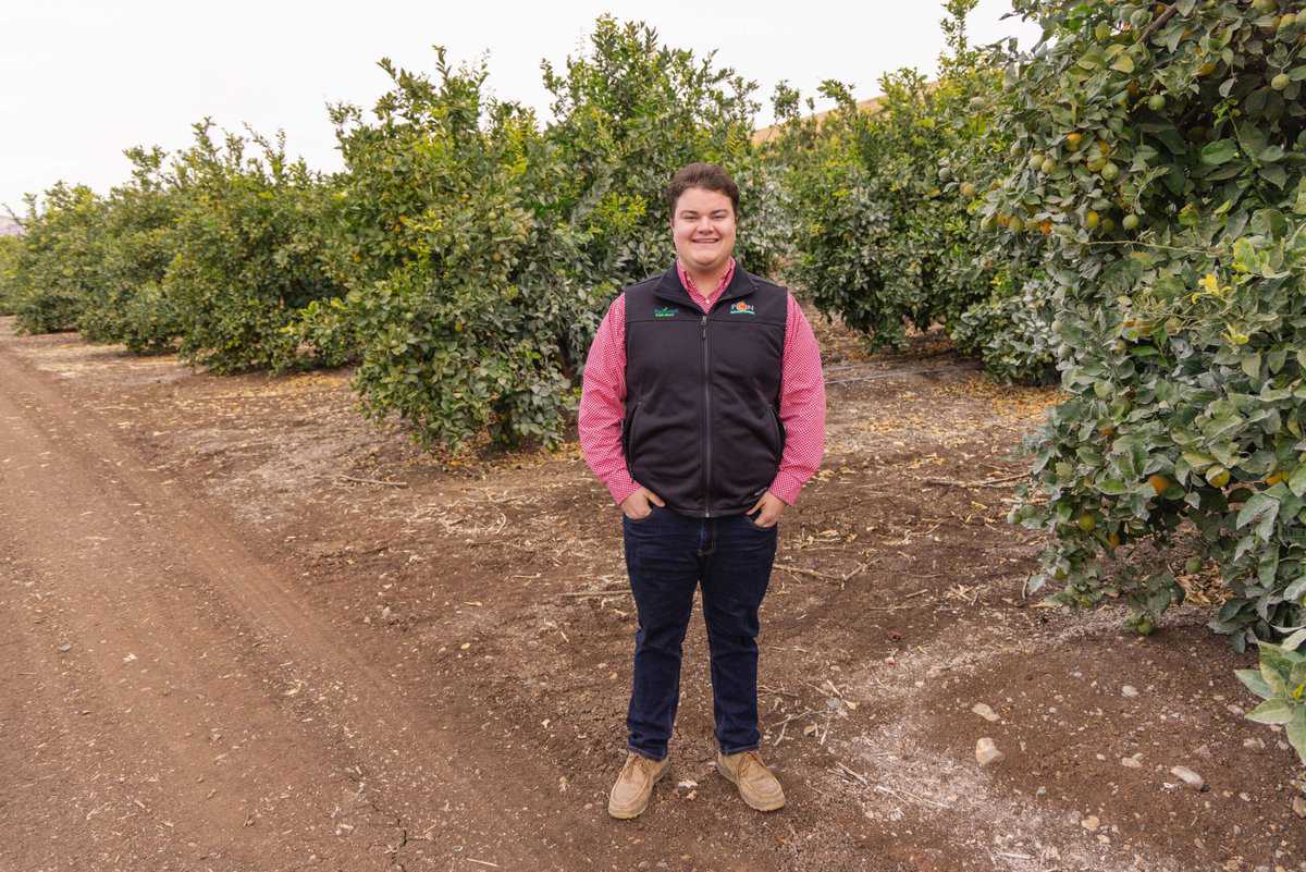 Meet the Grower: Pro Citrus Network - The Produce Moms