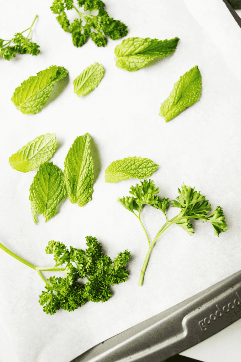 How To Store Fresh Herbs - The Produce Moms