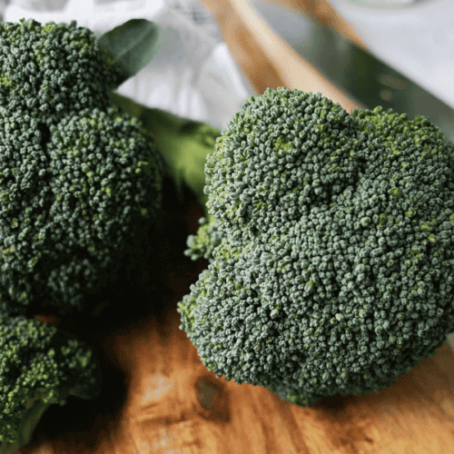 Broccoli: How To Select, Store and Serve - The Produce Moms