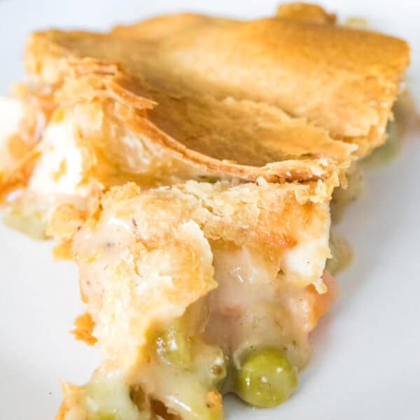 Delicious Chicken Pot Pie With Flaky Pie Crust - The Produce Moms