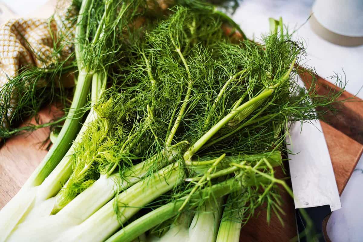 What Does Fennel Taste Like? - The Produce Moms