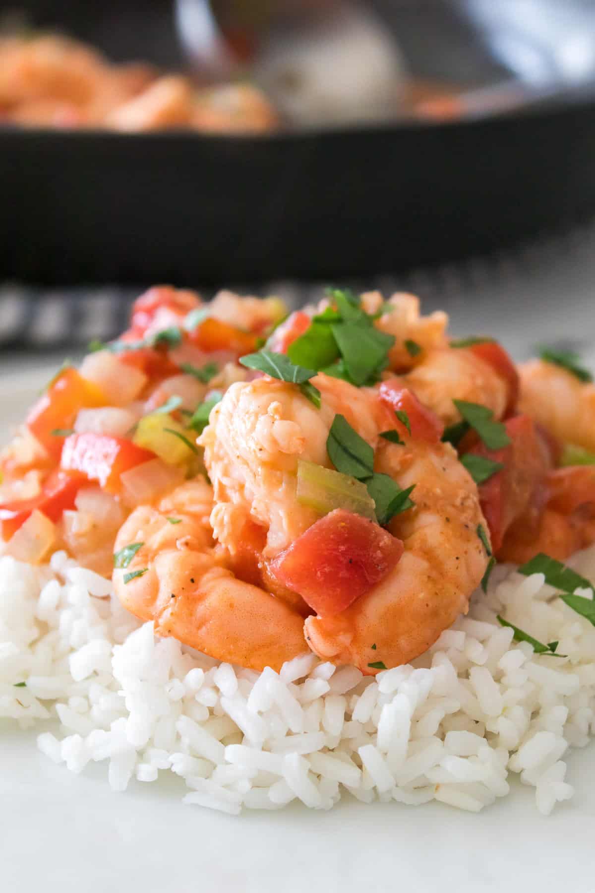 Quick & Easy Shrimp Creole Recipe - The Produce Moms